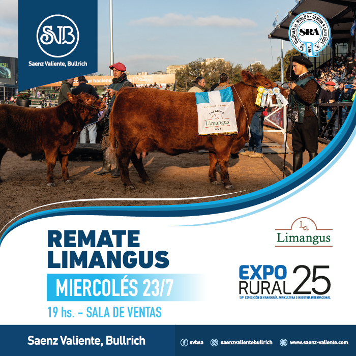 Saenz Valiente, Bullrich y Cia. S.A. - Limangus
