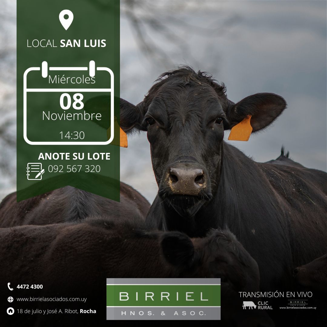 ClicRural - Feria en Local San Luis