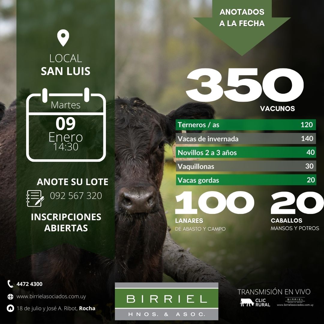 En vivo Feria Mensual en San Luis - ClicRural