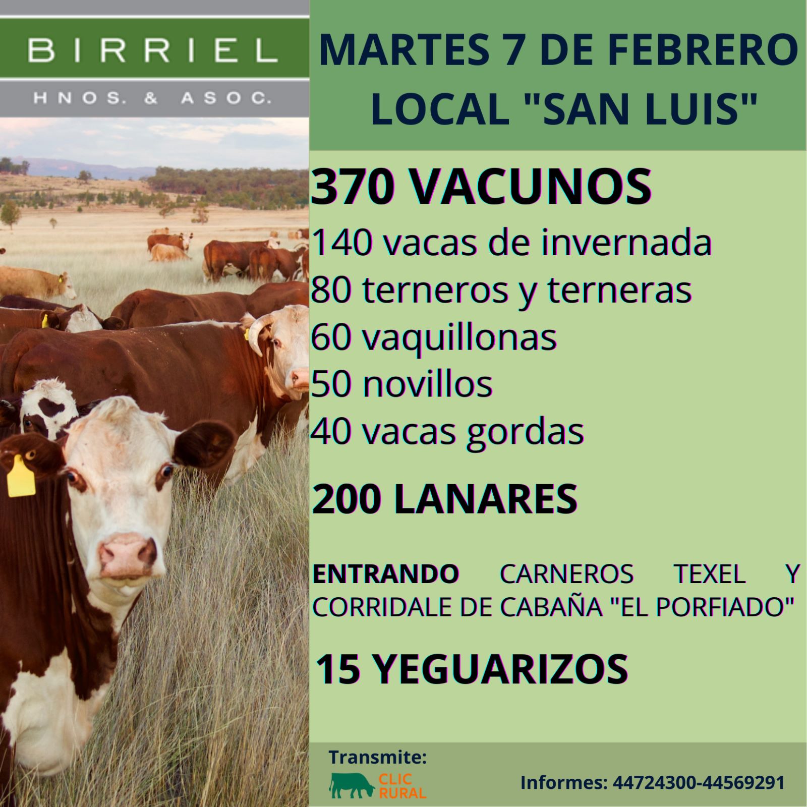 En vivo Feria Mensual Birriel - ClicRural