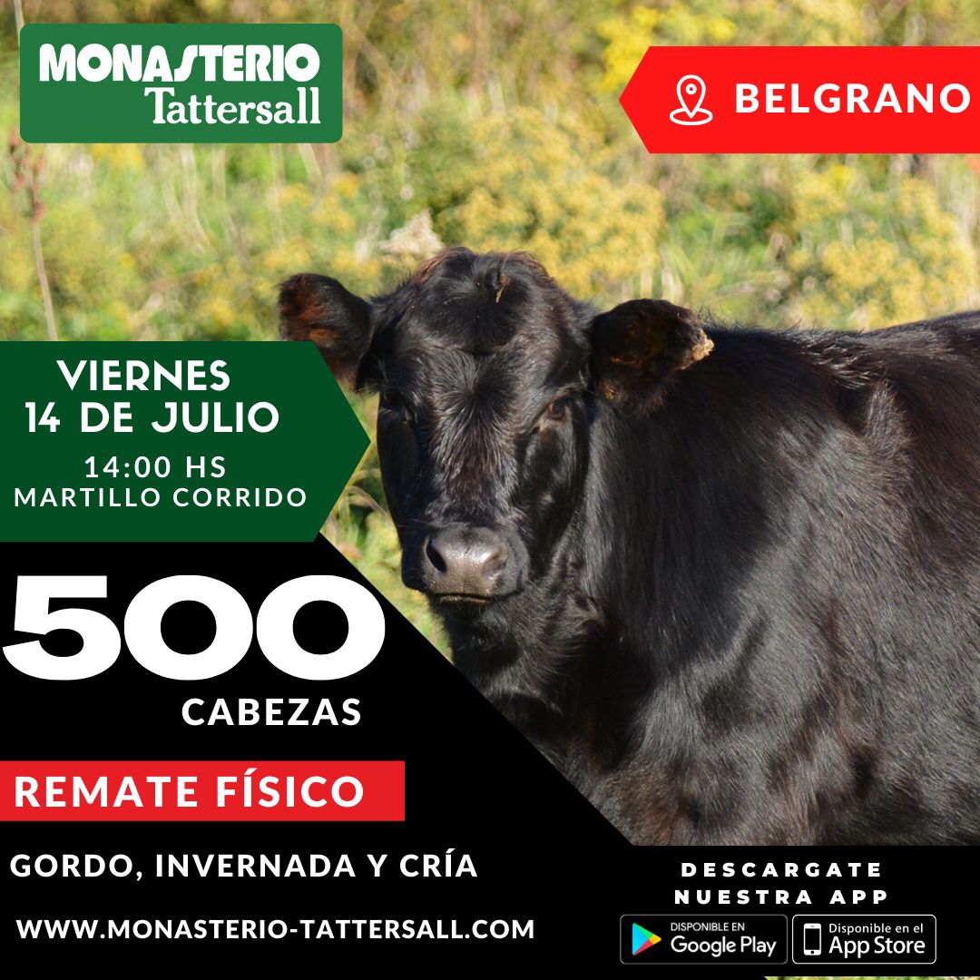 Monasterio Tattersall S.A. - Remate Gordo, Invernada y cría Viernes 14 ...