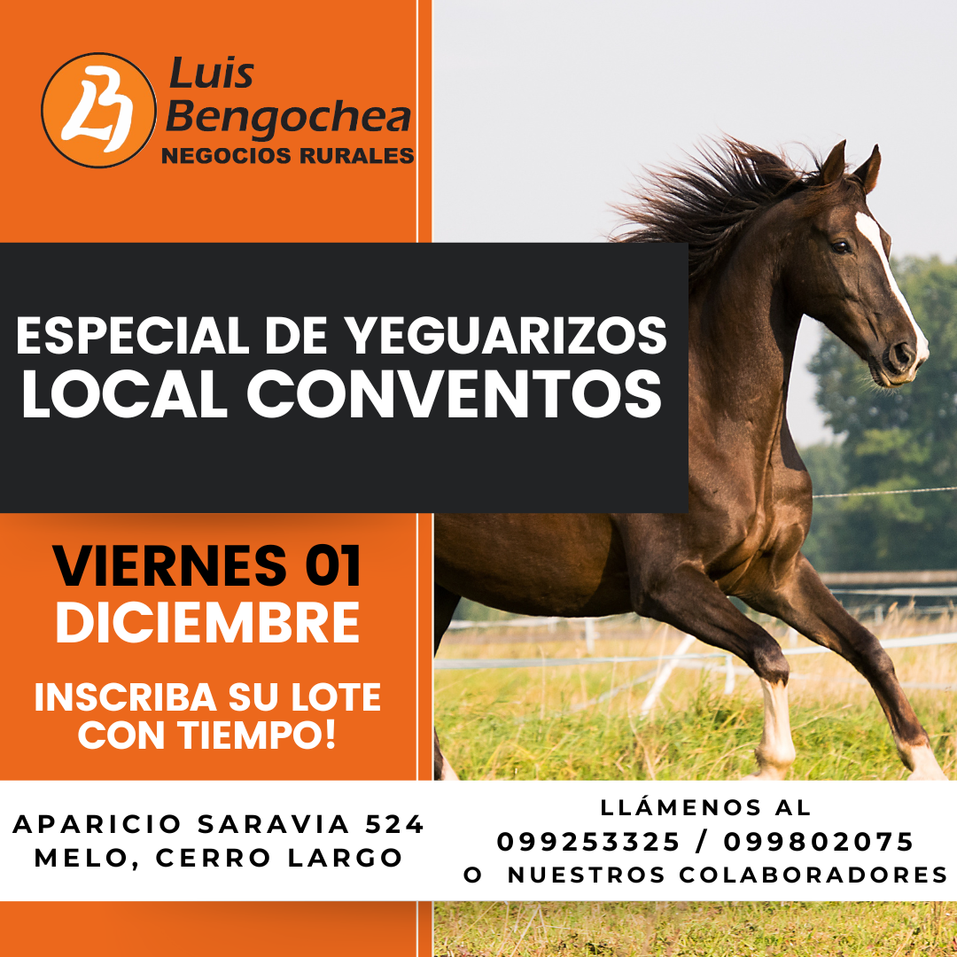 Luis Bengochea - Dia del Caballo