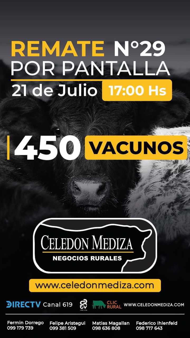 ClicRural - REMATE POR PANTALLA Nº 29