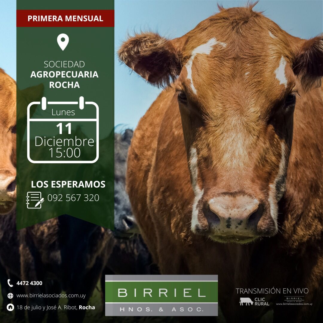 En vivo Feria en Asoc Agrop de Rocha - Birriel Hnos - ClicRural